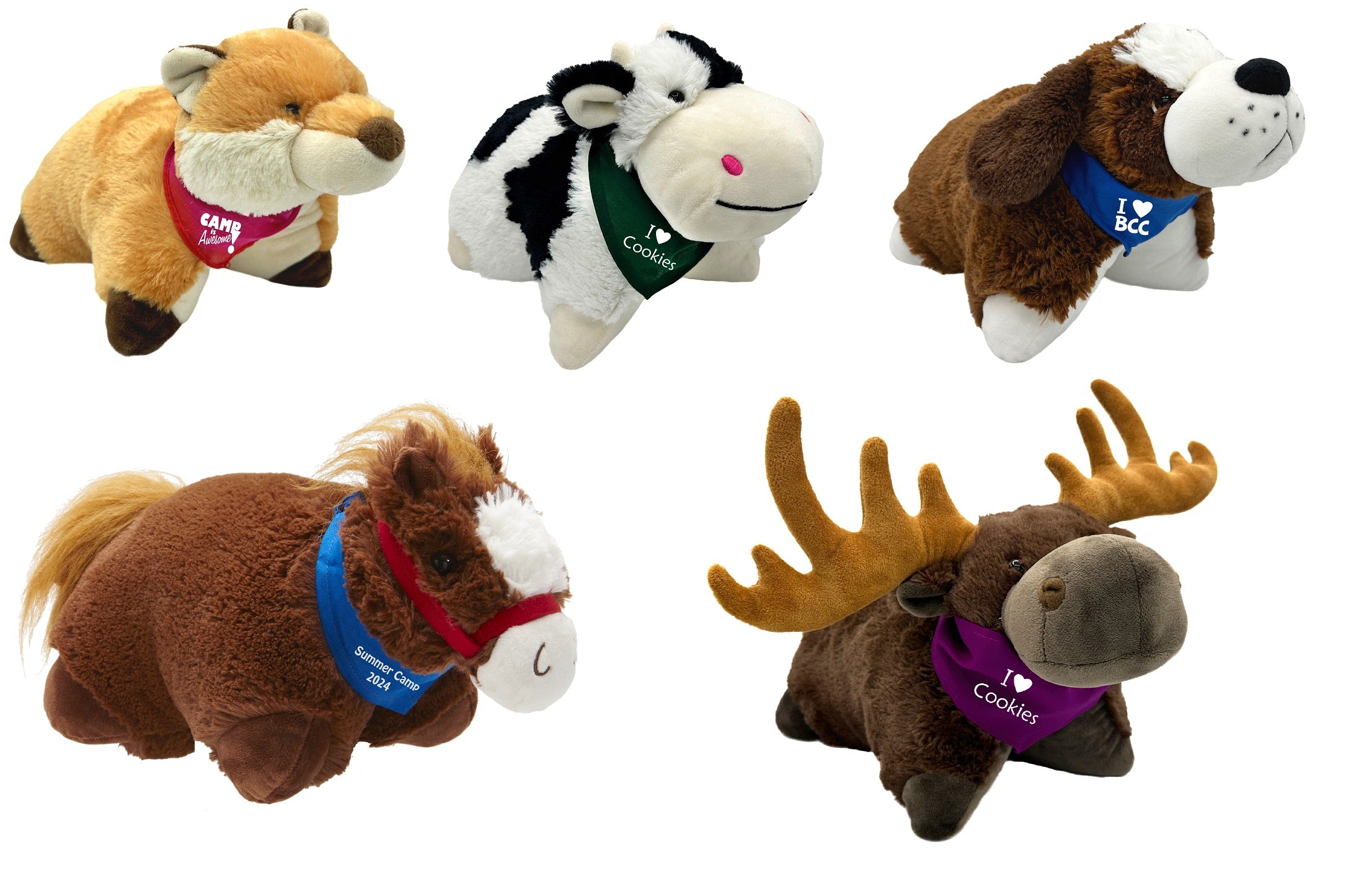 Pillow Pals – The Alexon Group